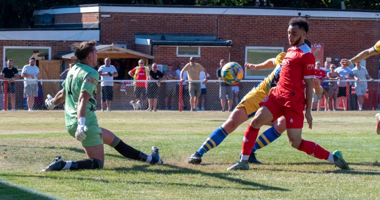 Whitehawk FC – Welcome to the Official Whitehawk Football Club website ...